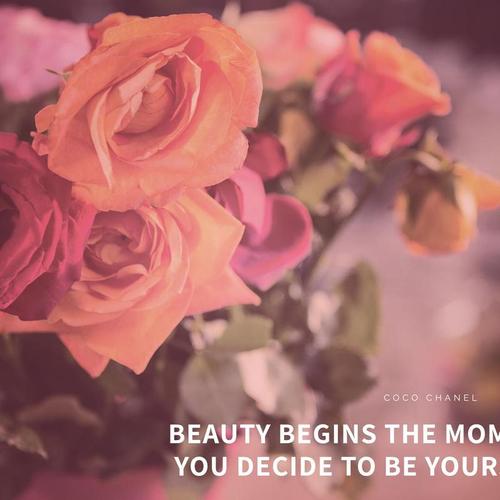 Design Wizard - Template templates