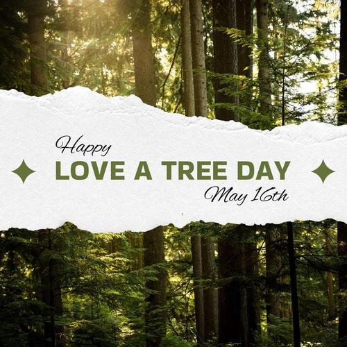 Design Wizard - Free Love A Tree Day Templates | Celebrate Nature's ...