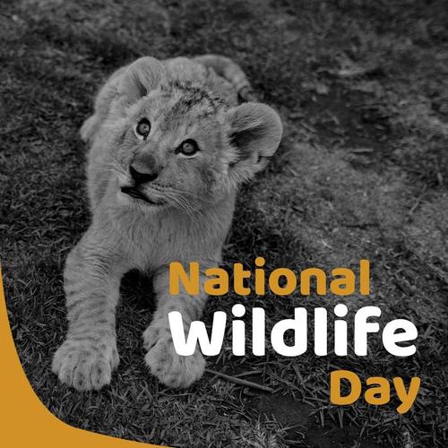 Design Wizard - Free National Wildlife Day Templates for download templates