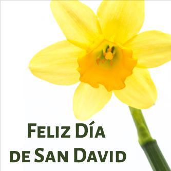 Design Wizard - 20+ Plantillas Gratuitas para el Día de San David templates